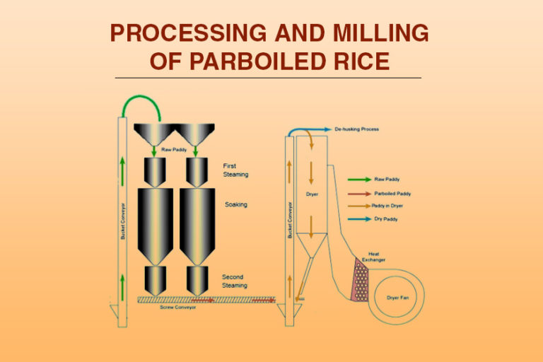 Processing and Milling of Parboiled Rice | Rice Mill Machine Design